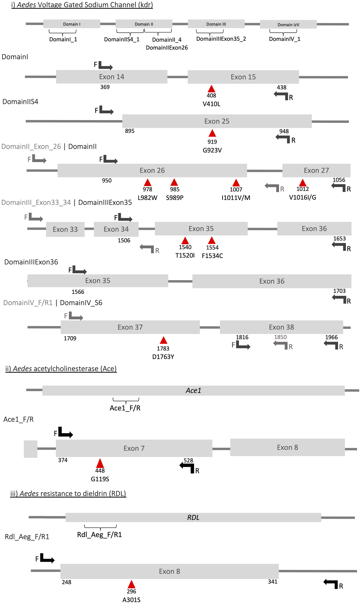 PathogenSeq lab